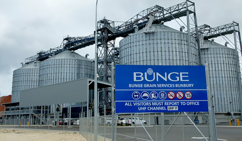 Multinacional Bunge tem papel central no desmatamento do Cerrado